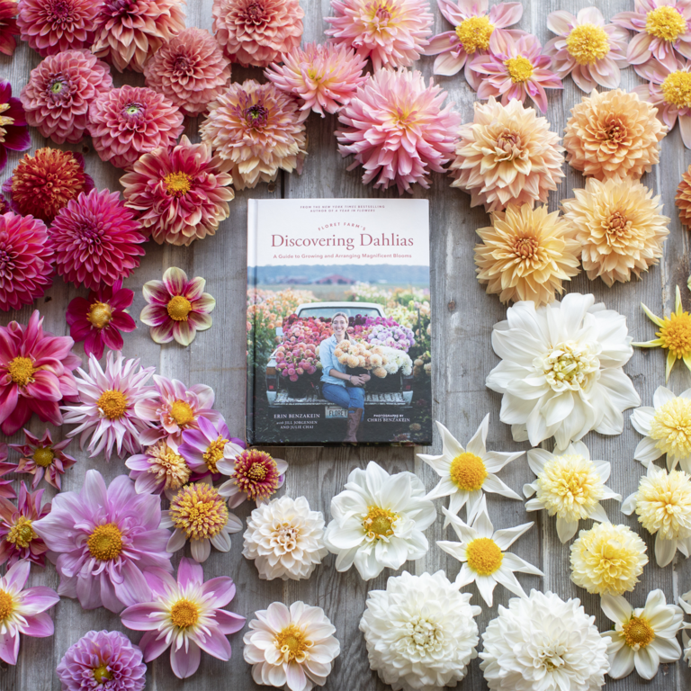 Floret Farm's Discovering Dahlias - by: Erin Benzakein | The Farmer's ...